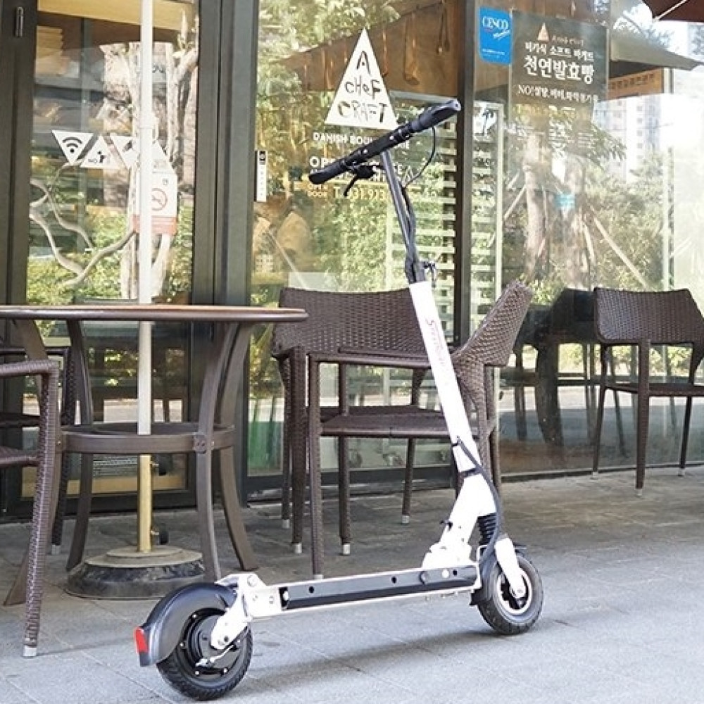 Speedway Mini 4 Pro